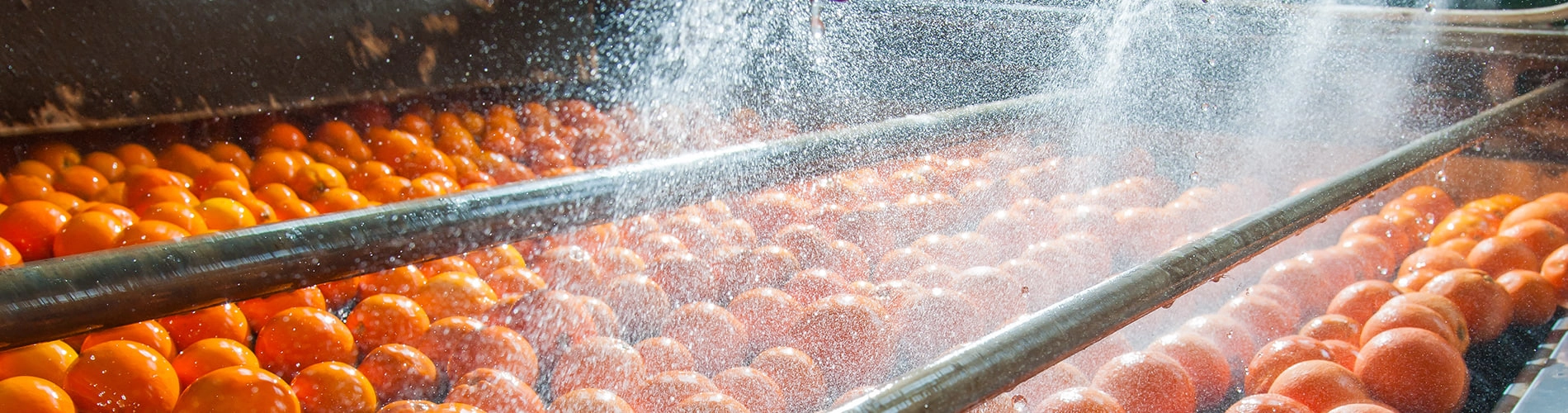 Direct Steam Injection Heaters for the Food Processing Industry